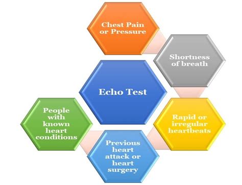 Echo Test Price Purpose Procedure Results And More • Bookmerilab