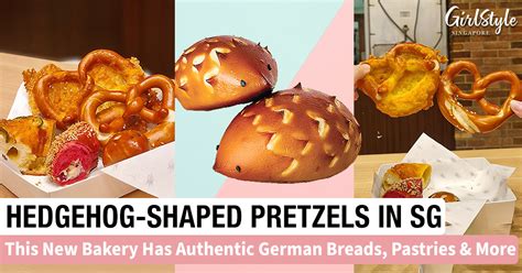 Can Hedgehogs Eat Pretzels At Chris Henry Blog