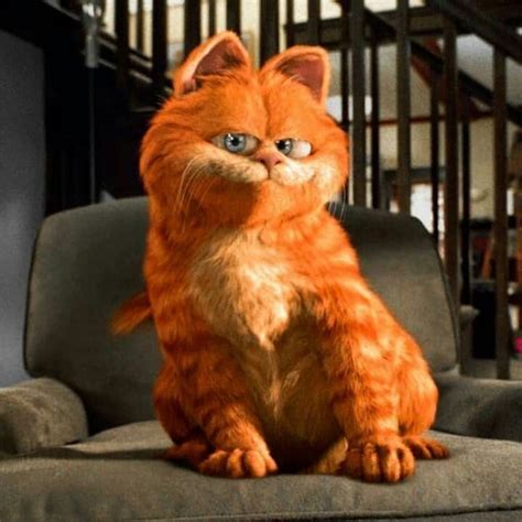 Pin Em Cat Art Ilustrações De Gato Desenhos De Animais Fofinhos