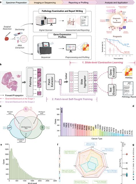 A Multimodal Knowledge Enhanced Whole Slide Pathology Foundation Model