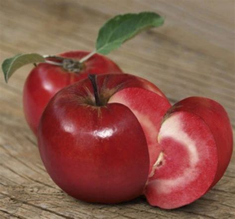 Rare Apple Varieties