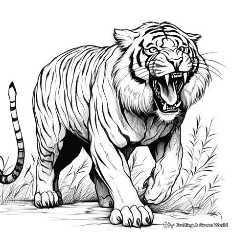 Hard Tiger Coloring Pages Free And Printable