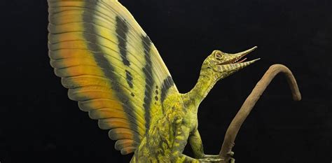 New Fossil Discovery Challenges Understanding Of Early Reptile Skin Evolution Ssbcrack News