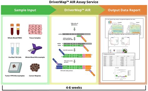 Drivermap Adaptive Immune Receptor Air Tcr Bcr Profiling Cellecta