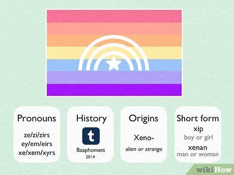 Xenogenders A Clear Complete Guide