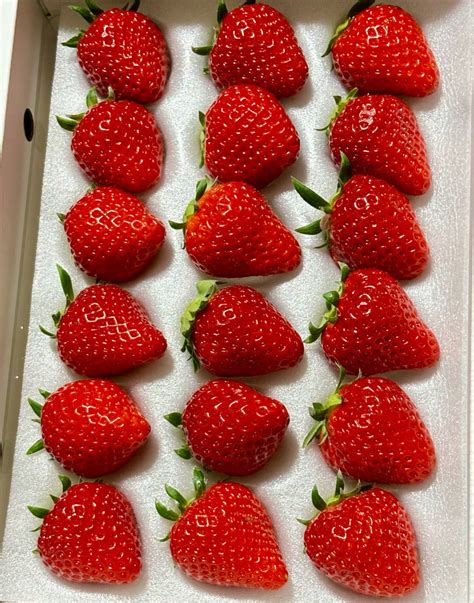 チト セレブ気分 キラキラ輝く君が大好きだよ