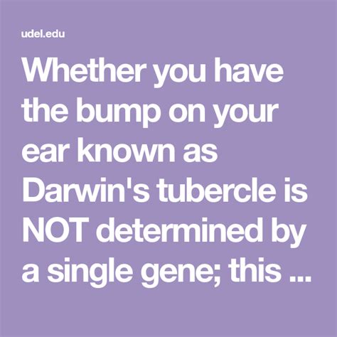 Discover The Truth About Darwins Tubercle