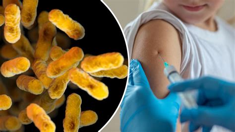 Whooping Cough Pathogen