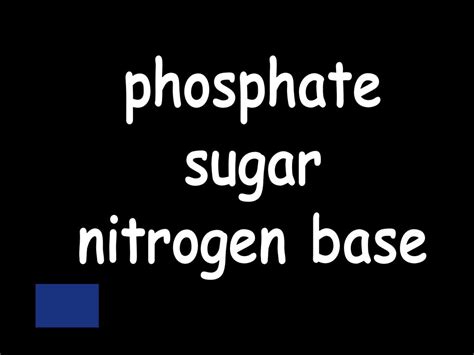 General And Biochem General And Biochem Dna And Rna Ppt Download