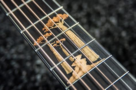 Inlay On Guitar Fretboard At Jeremy Burris Blog