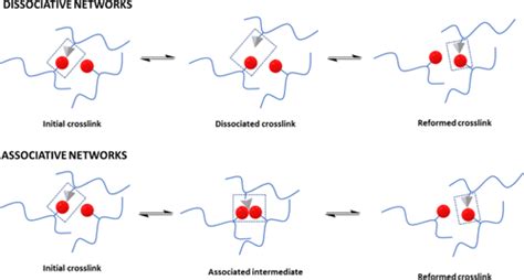 Schematic Representation Of Dissociative And Associative Types Of Cans