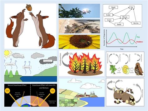Ecosystems Gcse Biology Full Lessons Aqa Bundle Topic 7 Teaching Resources