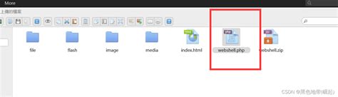【漏洞复现 typesettercms 文件上传zip】vulfocus typesetter cve 2020 25790 csdn博客