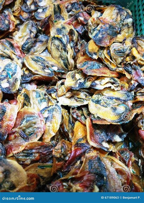 Dried Salted Shellfish Stock Image Image Of Color Life 67189063