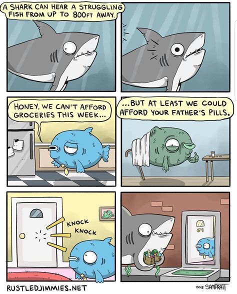 Wholesome Shark Lolsnaps Cute Comics Funny Comics Comics