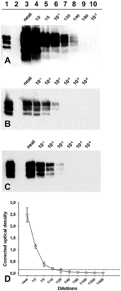 Prp Sc Detection Limit Of A Langlade Classical Scrapie Isolate A Pg127 Download Scientific