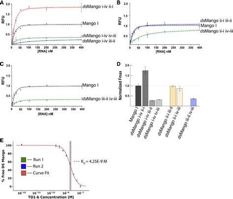 Double Stemmed And Split Structural Variants Of Fluorescent Rna Mango