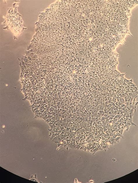 414 Questions With Answers In Ipsc Science Topic