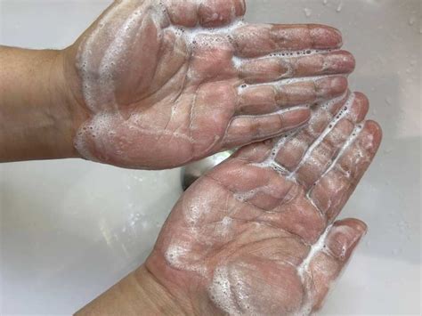 Review The Originote Cicamide Facial Cleanser Ramah Di Kantong Plus