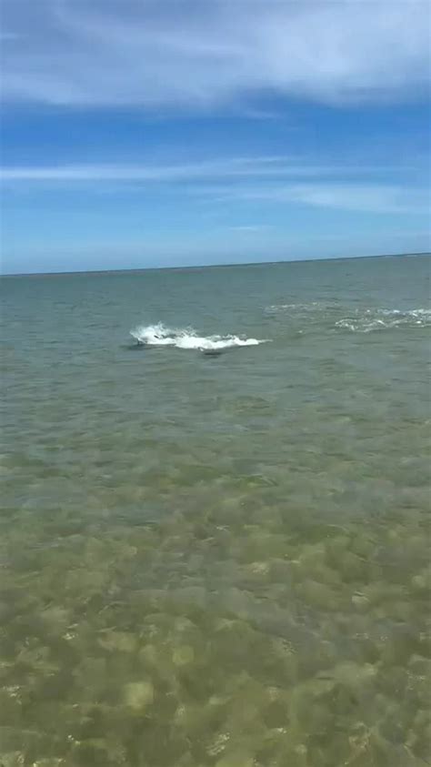 It Was A Sting Operation Album On Imgur