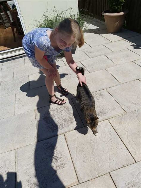 Crow Class This Week