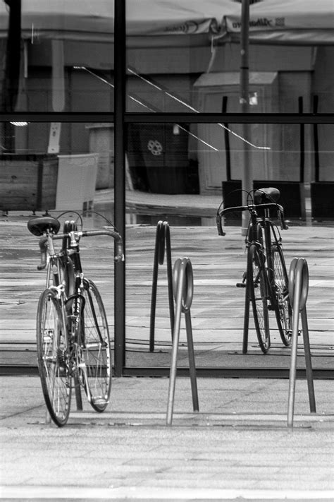 Carbon Cycle Cartoon Images Photos Download The Best Free Carbon Cycle Cartoon Images Stock