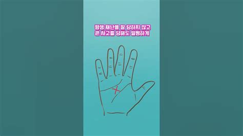 X선 손금 신비십자손금 부자력 알아볼 수 Shorts Youtube