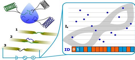 Physically Unclonable Functions Based On Single Walled Carbon Nanotubes A Scalable And