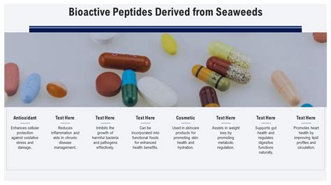 Bioactive Compounds From Seaweeds Ppt Guidelines Acp Ppt Template