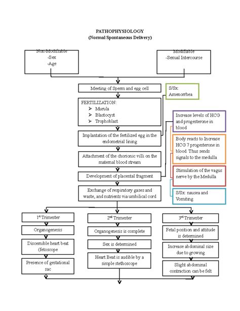 Reflection On Maternal Care Insights From Ob Ward Experience Bsn2 D