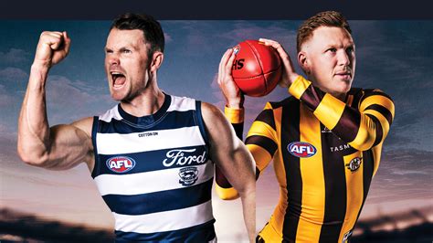 Analyzing Cats Vs Hawks Key Statistics And Winning Factors Unveiled