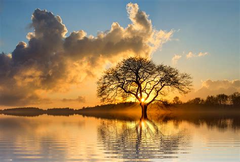 Stunning Free Images Pixabay Free Images To Use Tscpu