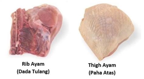 Arti Rib Dan Thigh Ayam Mcd Untuk Bagian Ayam Favorit