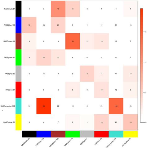 Module Preservation Plot Representing The Number Of Genes Conserved