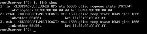 P V Linux Server Network Config Virtualization Howto