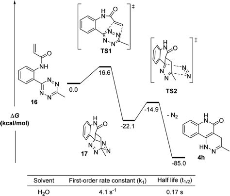 Dft Calculations For The Intramolecular Cycloaddition Of 16