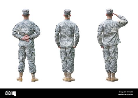 Stand By Definition Military At Martha Chouinard Blog