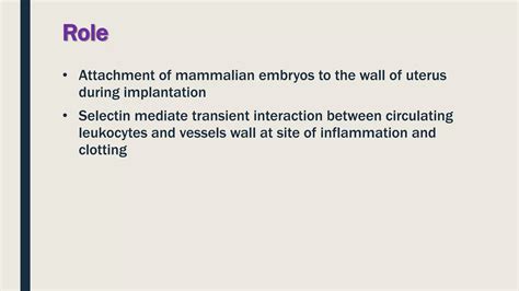 Cell Adhesion Molecules Pptx