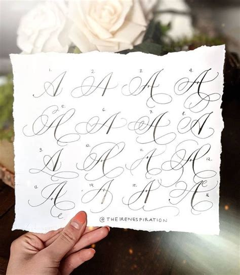 Cursive Writing A Letter Caligraphy A A Caligraphie Fancy