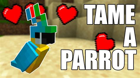 How To Tame A Parrot In Minecraft All Versions Youtube