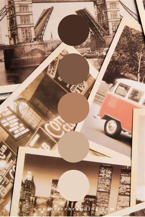 Vintage Color Palette Beier Branding Vintage Colour Scheme Vintage