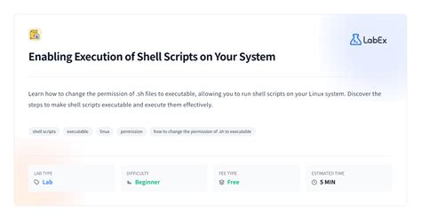 Enabling Execution Of Shell Scripts On Your System Labex