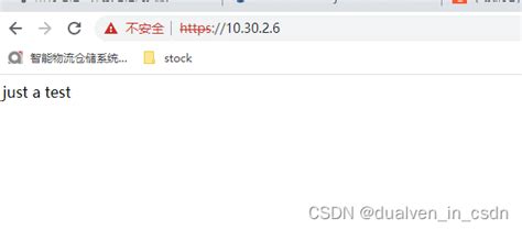 【】self Signed Ssl证书创建和使用ssl Self Signed Certificate Csdn博客
