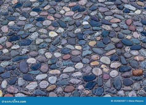 Massage Stone Walkway Texture The Pebble Stone Floors Stock Image