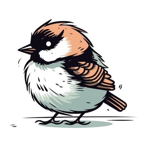Premium Vector Vector Hand Drawn Illustration Of A Titmouse Isolated