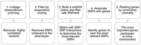 A Pipeline Of The Epistasis Network Modelling With Encore We Used As