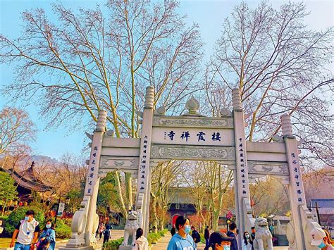 栖霞寺芳华樱子 站酷zcool