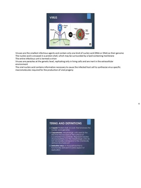 Virology Rna Naked Lecture Pdf Virus Infection