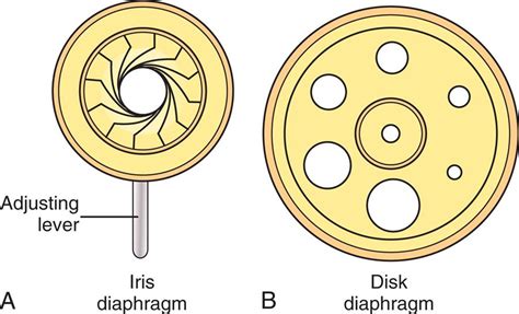 Microscopy Basicmedical Key