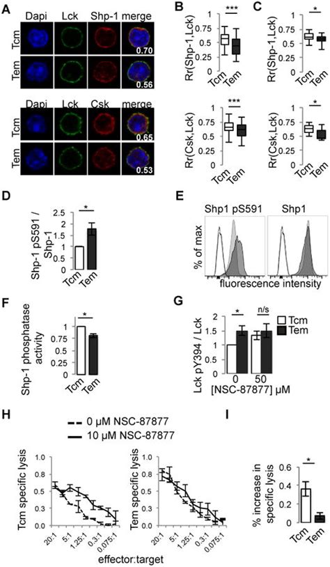 Constitutive Lck Activity Drives Sensitivity Differences Between Cd8 Memory T Cell Subsets Pmc